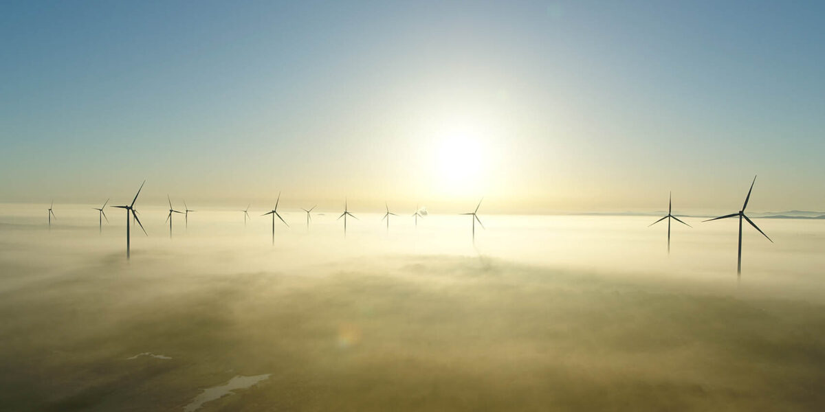 Board of Directors - Board Members | BnM